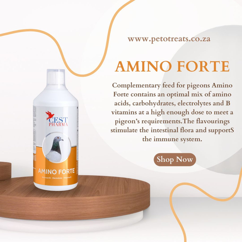 CEST AMINO FORTE 1000 ml – Pet O' Treats
