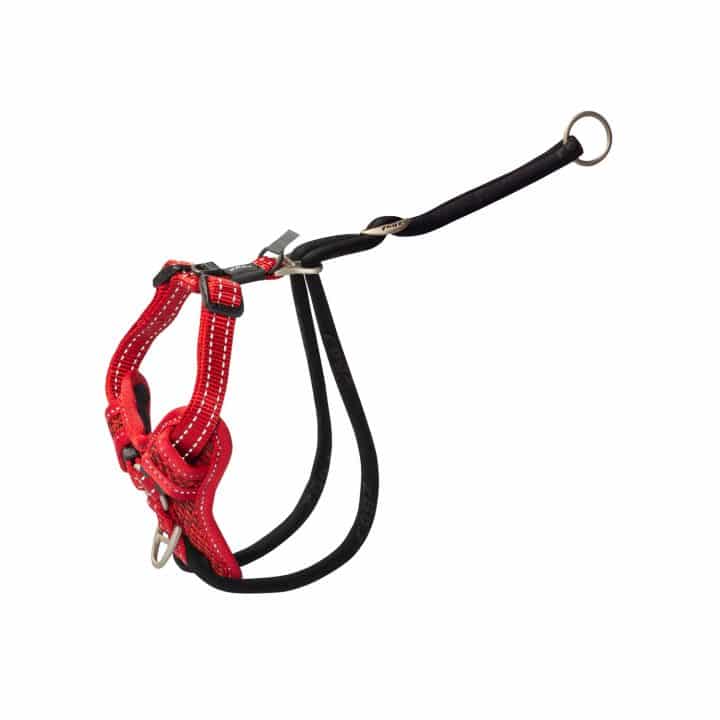 ROGZ UTILITY STOP-PULL HARNESS – Pet O' Treats