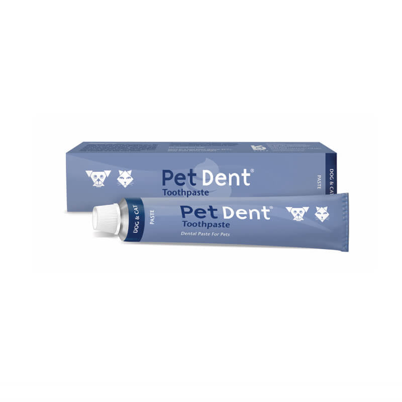 PET DENT TOOTHPASTE 60g (dogs & cats ) – Pet O' Treats